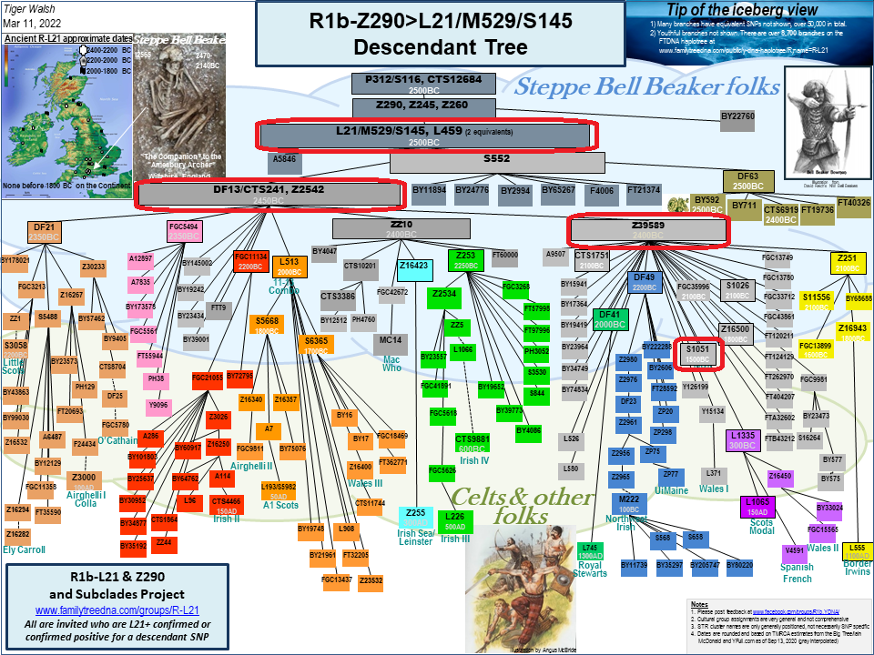 FTDNA - Descendent ydna/mtdna Maps | Eupedia Forum