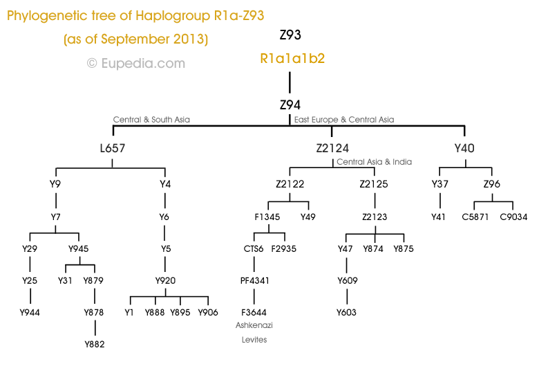 R1a1a R-M198 SNP Map